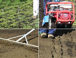 Professional Turf Advice - United Grab Hire